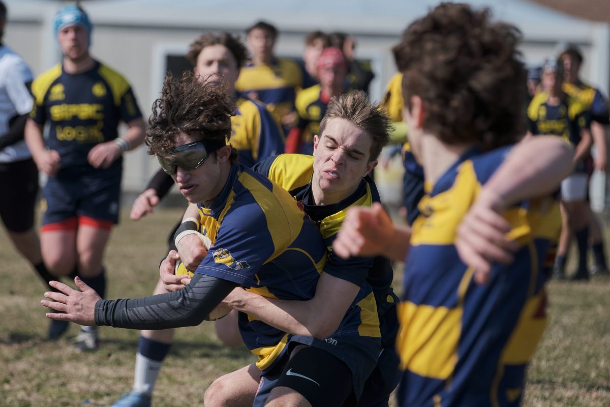U17 Elite: Staying Alive - Bologna Rugby Club